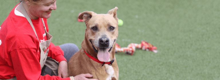 Join our Team - Atlanta Humane Society